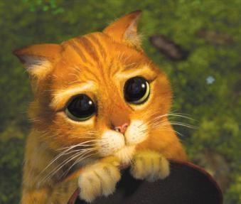 īstais runcis zābakos, bērnībā. - Spoki